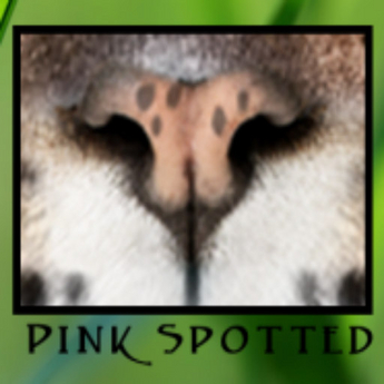 Second Life Marketplace - WK Luanda Cheetah